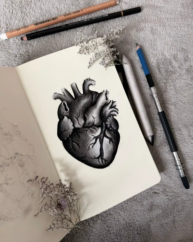 19 Human Heart Drawing Ideas: The Ultimate Guide to Anatomical ...