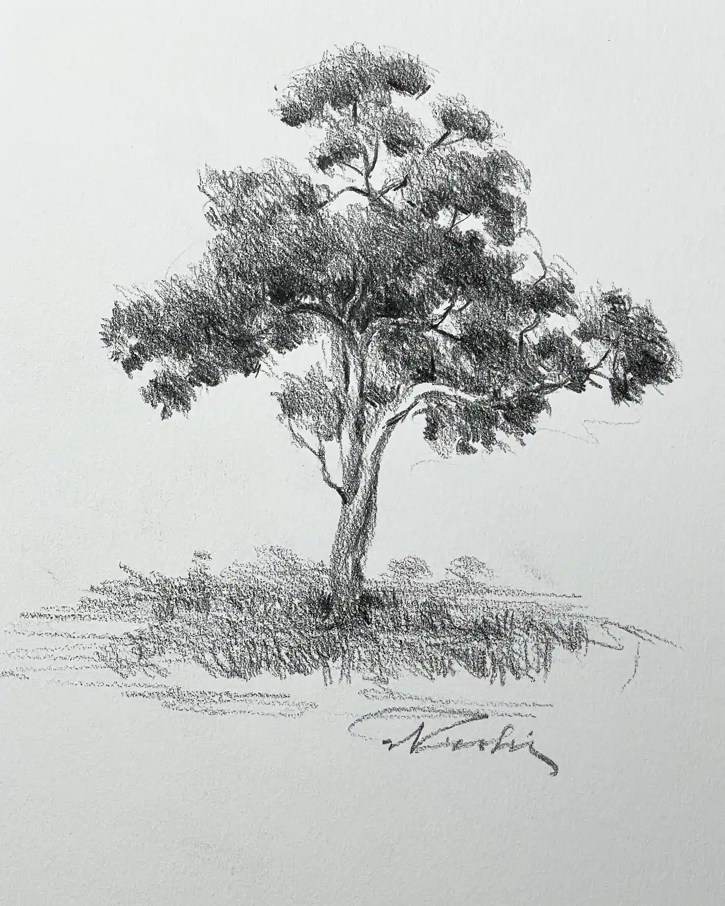 20 Stunning Tree Drawings Ideas: How to Master Nature Art Techniques ...