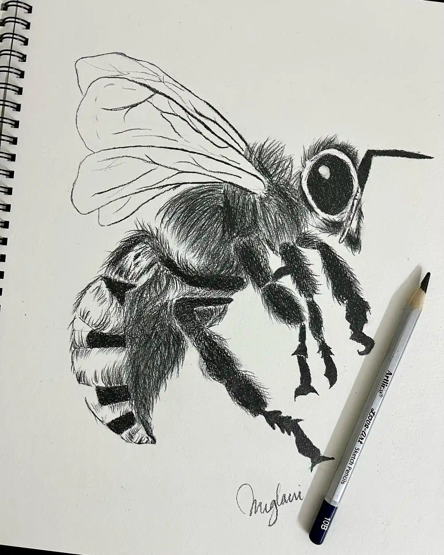 What Are 34 Buzz-Worthy Bee Drawing Ideas for Every Artist? - GS Art Zone