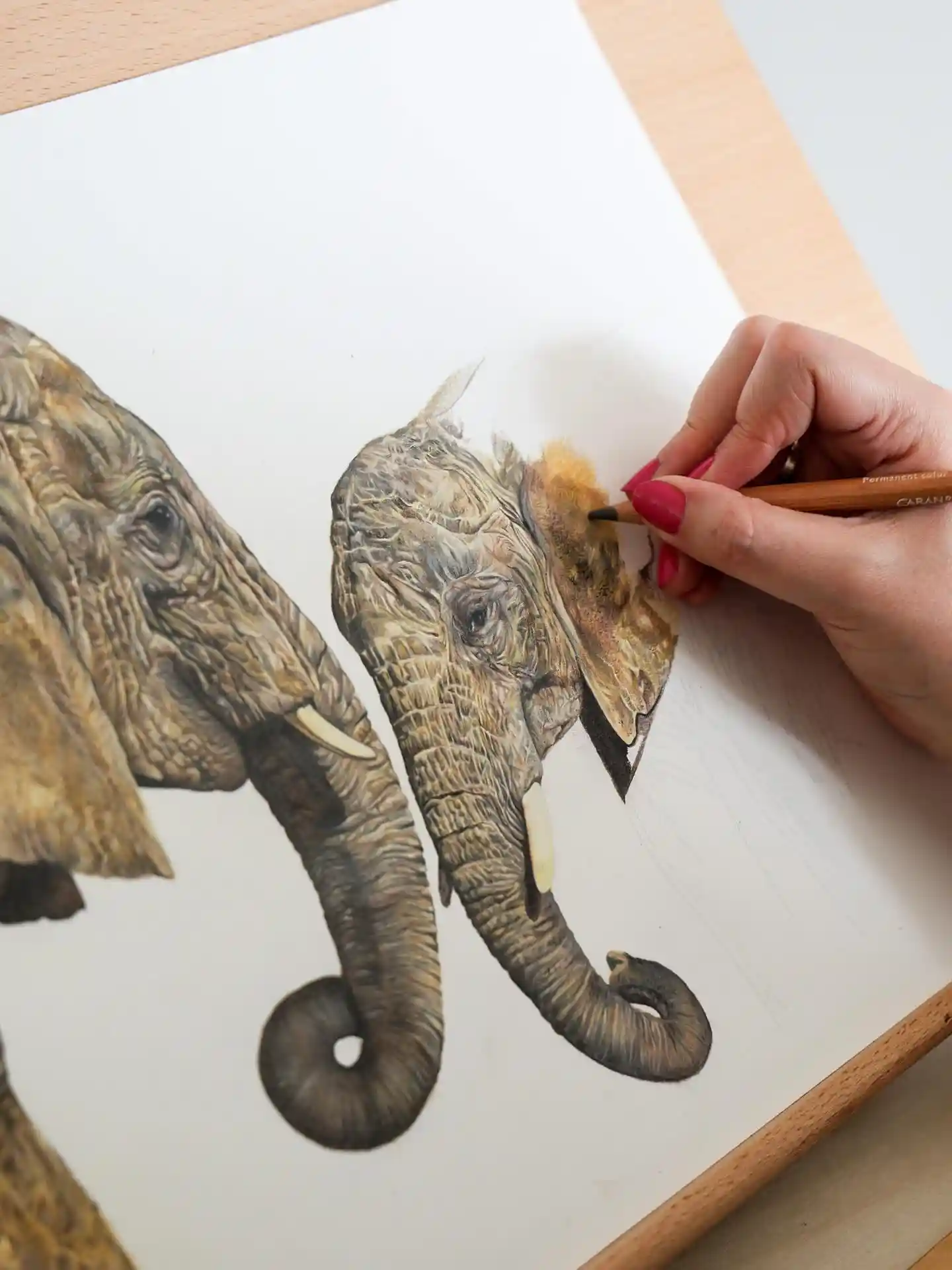What Are 23 Majestic Elephant Drawing Ideas for Every Artist? - GS Art Zone