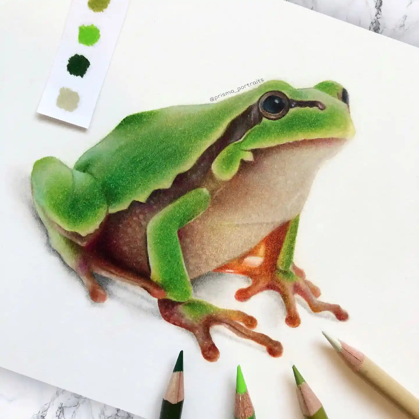 19 Easy Frog Drawing Ideas: How to Draw Realistic and Cartoon Frogs ...